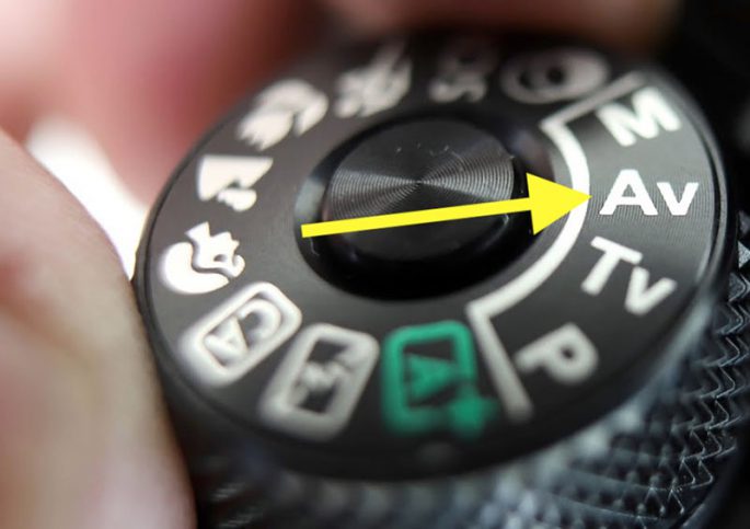 What does boca mean in photography (AKA Bokeh)? - DSLRad.com