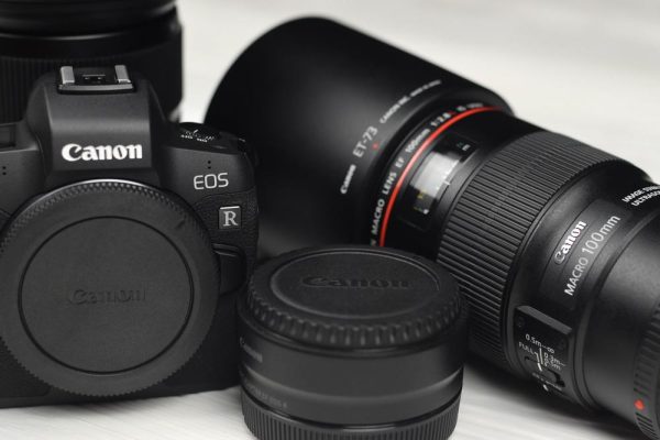 Sharpness in Photography: Achieve Crystal-Clear Images Today! +35 Tips ...