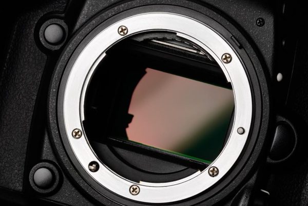 Sharpness in Photography: Achieve Crystal-Clear Images Today! +35 Tips ...