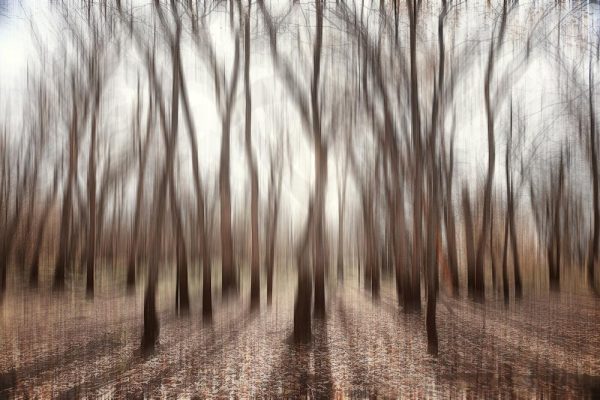 Sharpness in Photography: Achieve Crystal-Clear Images Today! +35 Tips ...