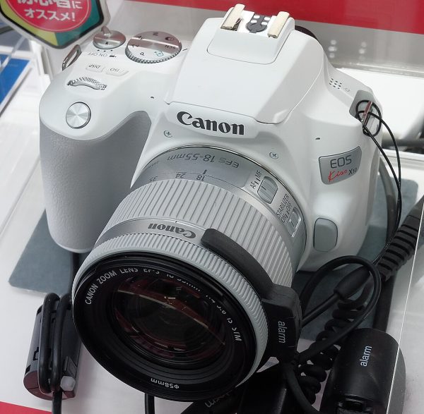 Canon EOS Rebel SL3 (250D) Camera Profile - DSLRad.com