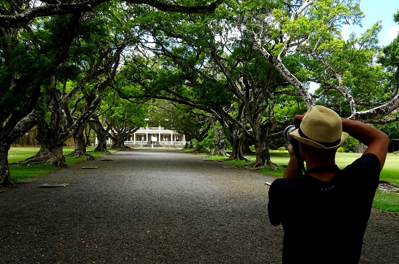 How to Enable Silent Shooting on Canon EOS 77D - DSLRad.com